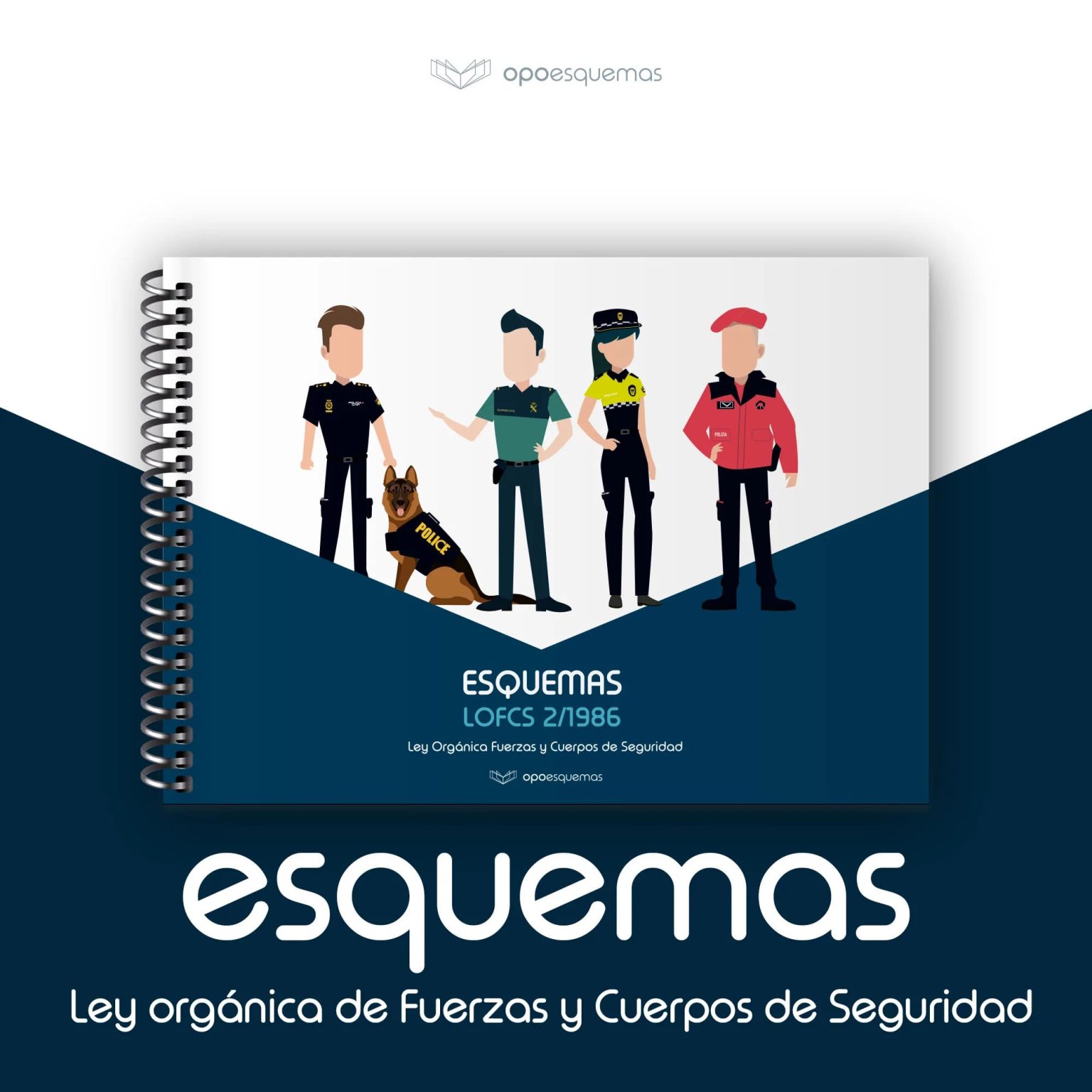 Funciones del Rey de España - ¿Qué hace un Rey?