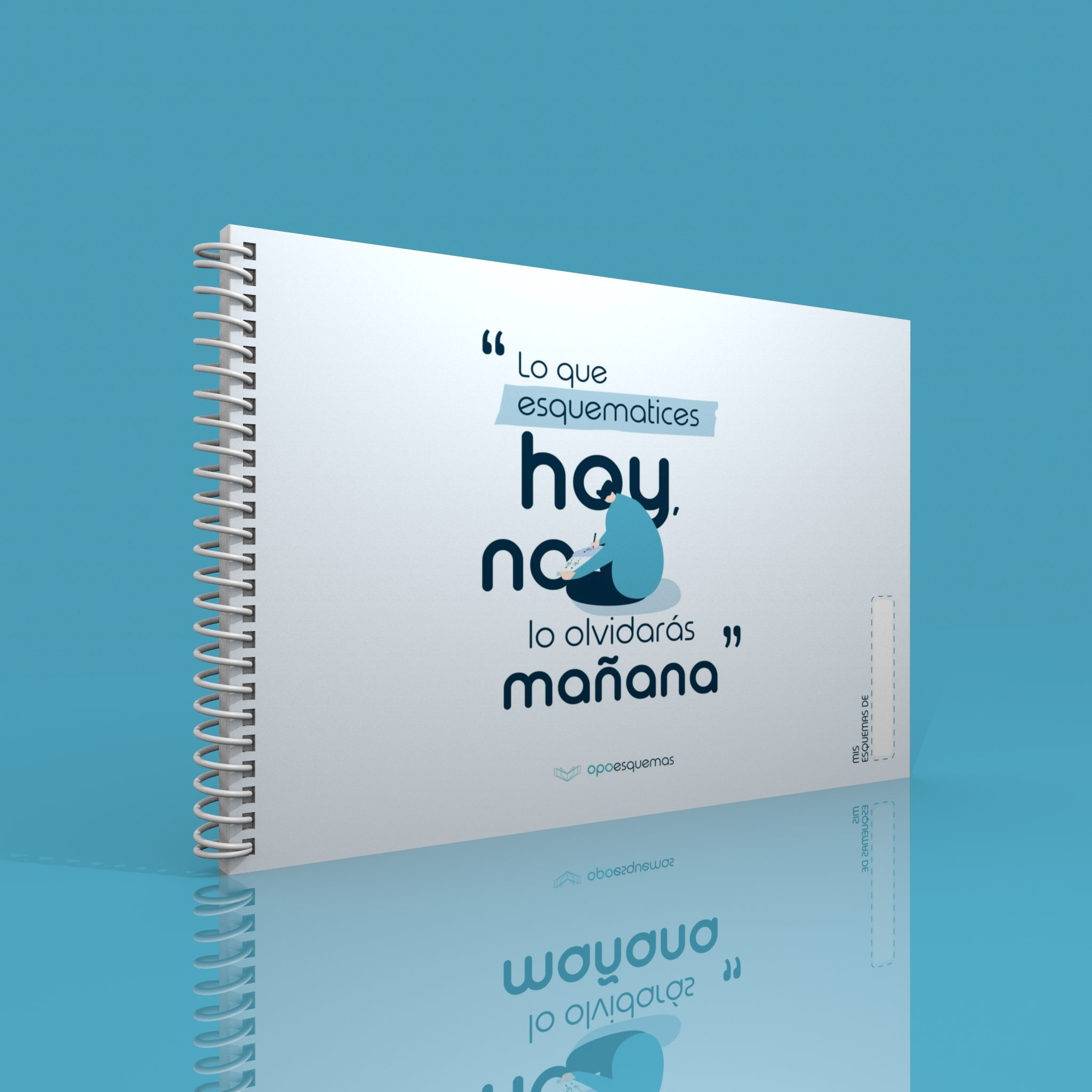 Funciones del Rey de España - ¿Qué hace un Rey?